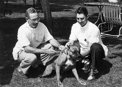 About The Kingsport Vet - Andes-Straley