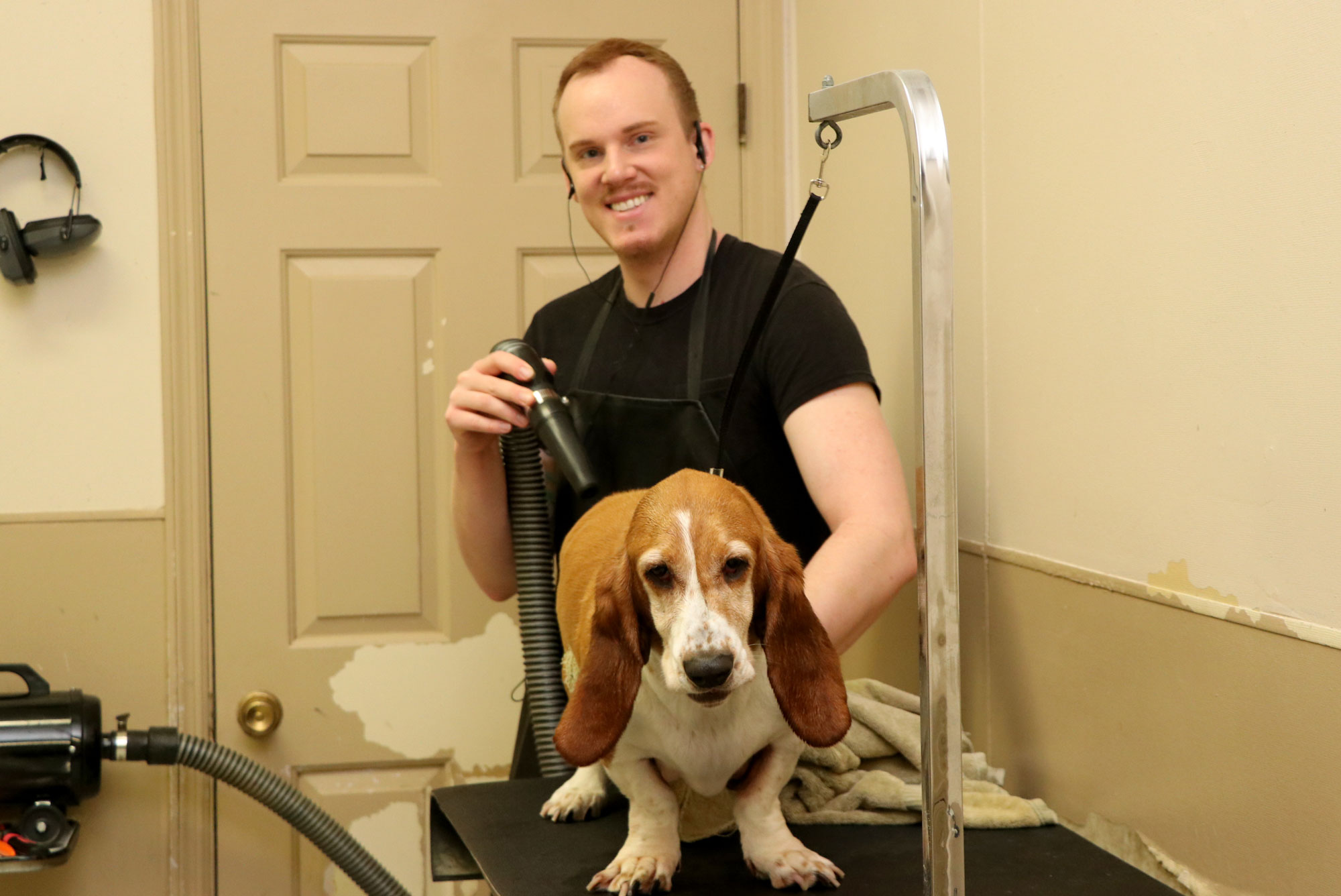 Veterinary Hospital in Kingsport, TN - Andes-Straley