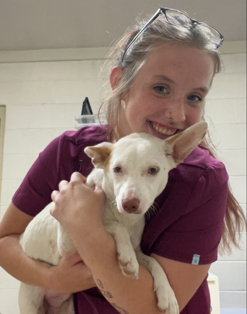 About The Kingsport Vet - Andes-Straley