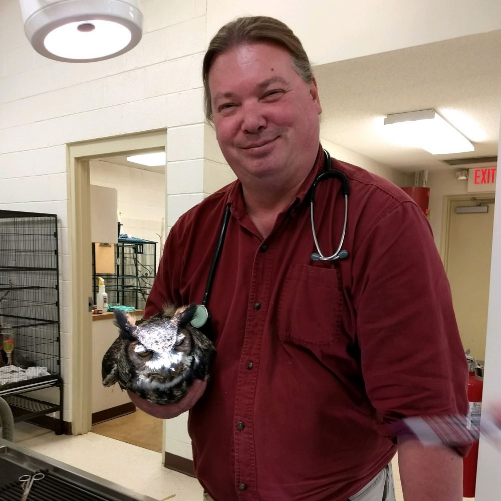 Veterinary Hospital in Kingsport, TN - Andes-Straley