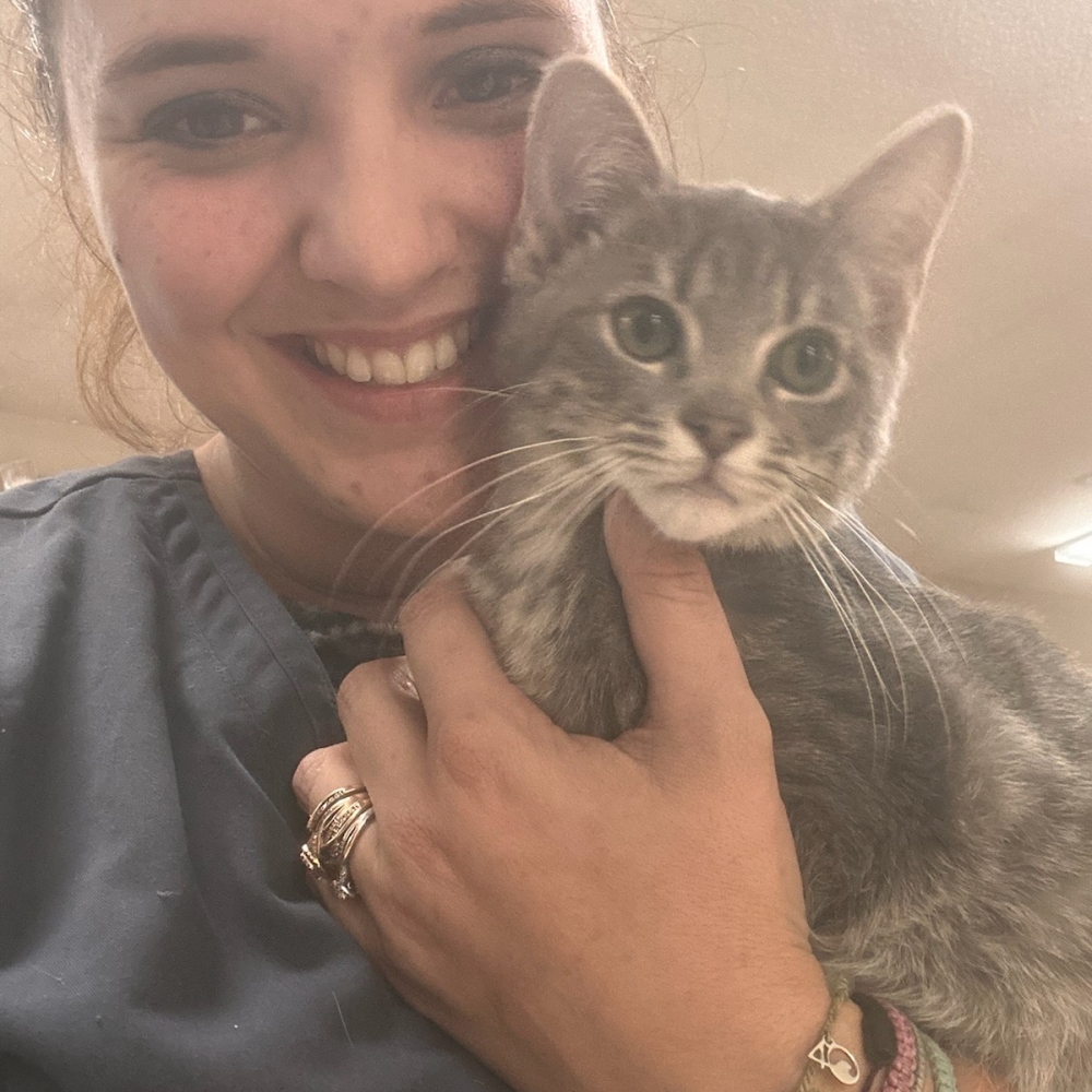 About The Kingsport Vet - Andes-Straley