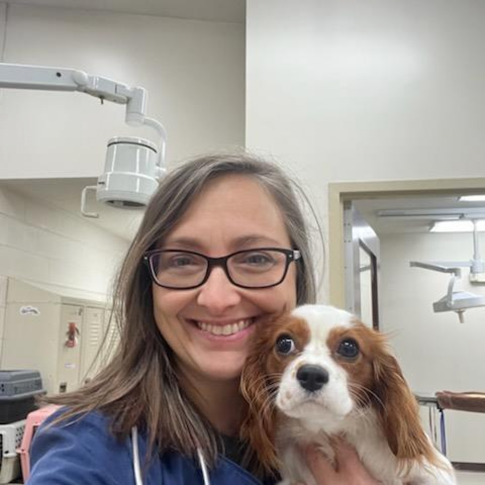 Veterinary Hospital in Kingsport, TN - Andes-Straley