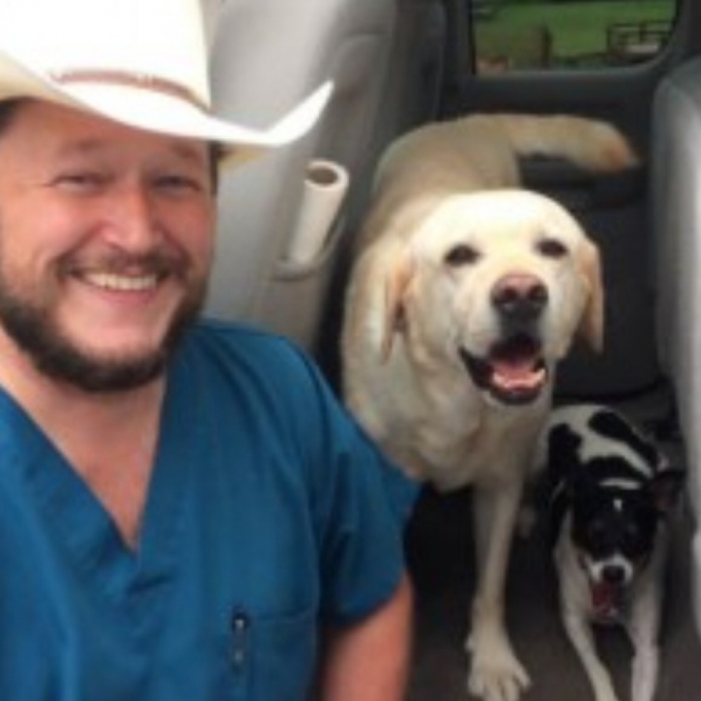 About The Kingsport Vet - Andes-Straley